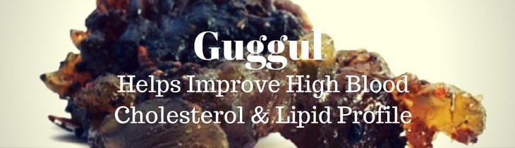 Guggul or Commiphora mukul Gum as Herbal Remedy for High Blood Cholesterol